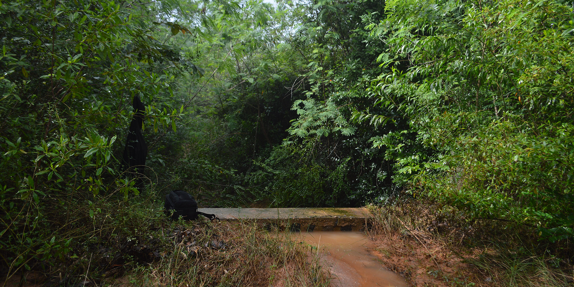 Gallery – Aranya Forest and Sanctuary